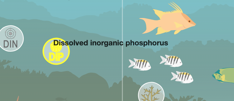 Chapter 5 Infographic Javascript | Guide to Infographiq